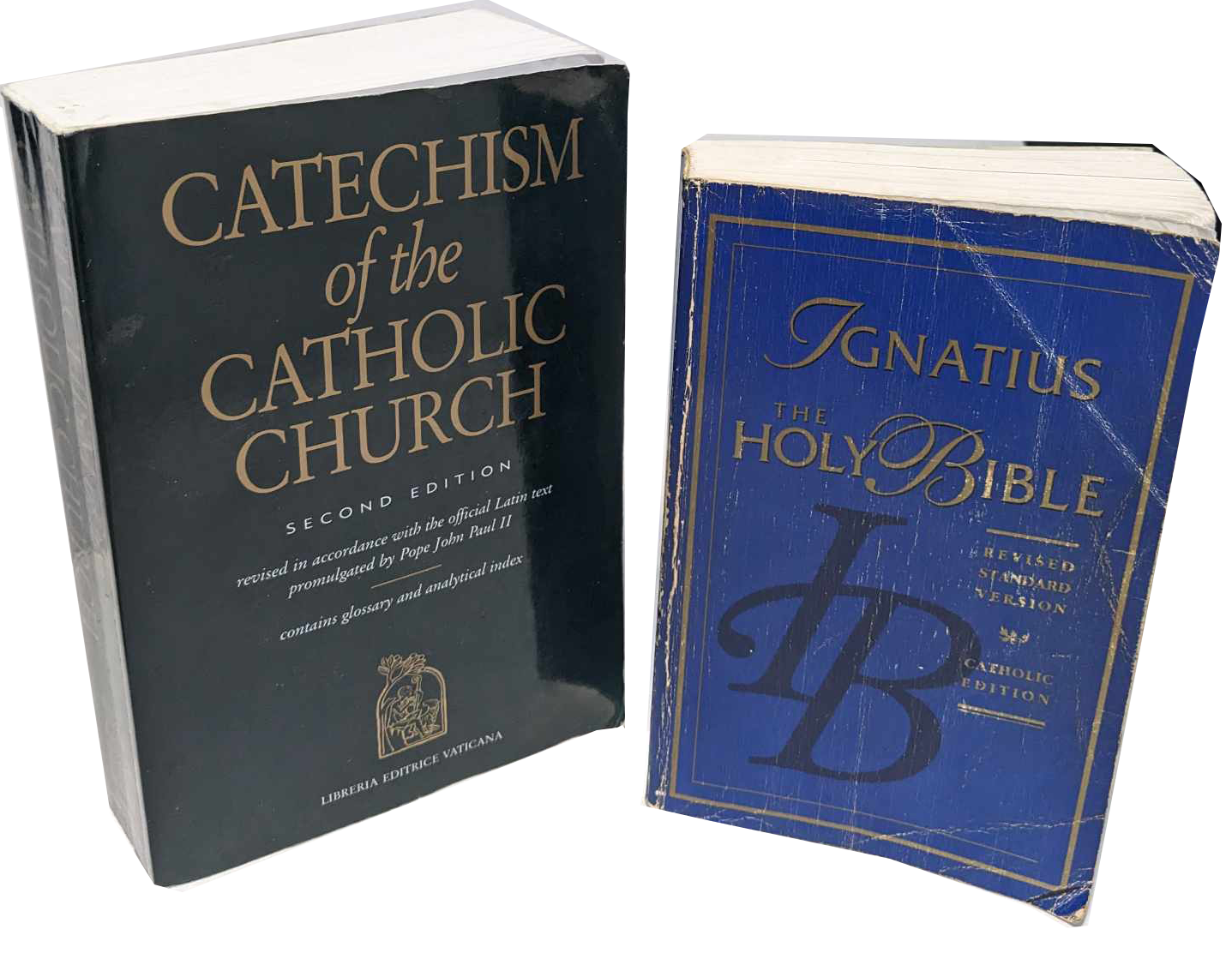Loving Catholicism – Catholic teaching for everyday living